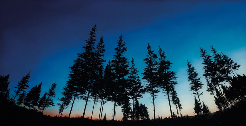 Meet Richard Rowan - Saturday 13th July 2019 | Westover Gallery