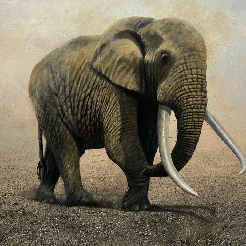 Artists | Artwork Gallery Bournemouth | Westover Gallery