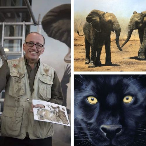 Artists | Artwork Gallery Bournemouth | Westover Gallery